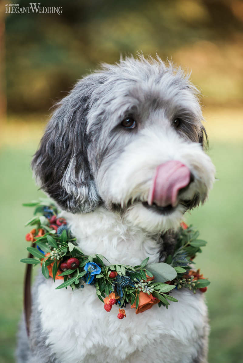 10 Greenery Wedding Ideas You Must See | Elegant Wedding